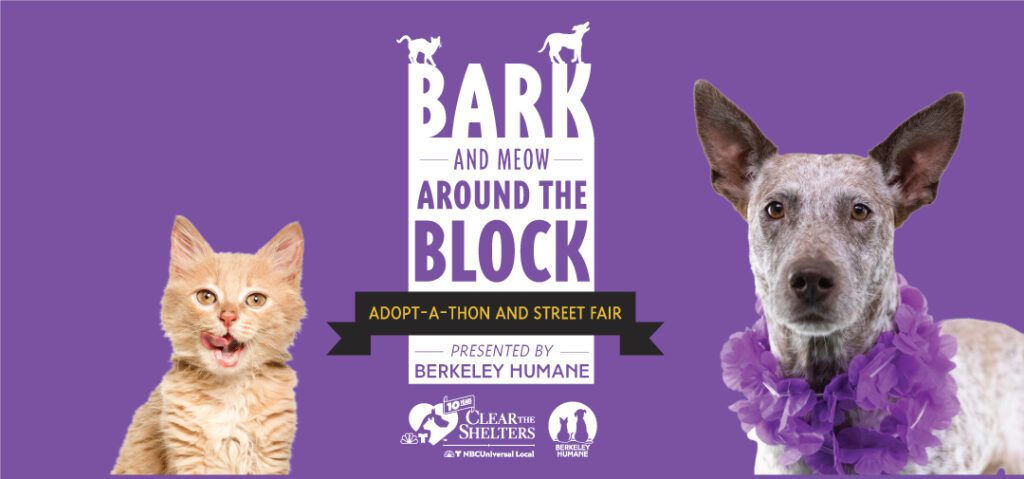 Adopt : Berkeley Humane