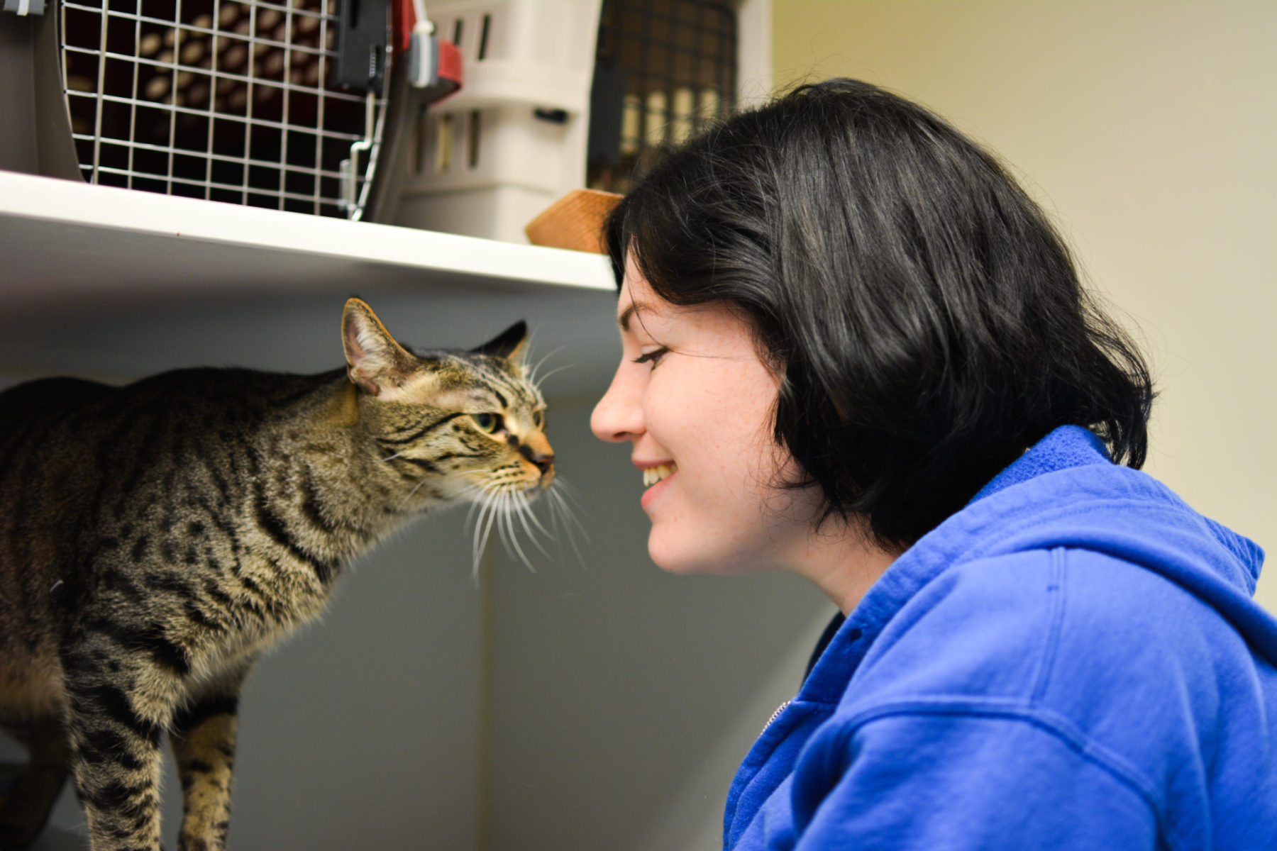 Home : Berkeley Humane