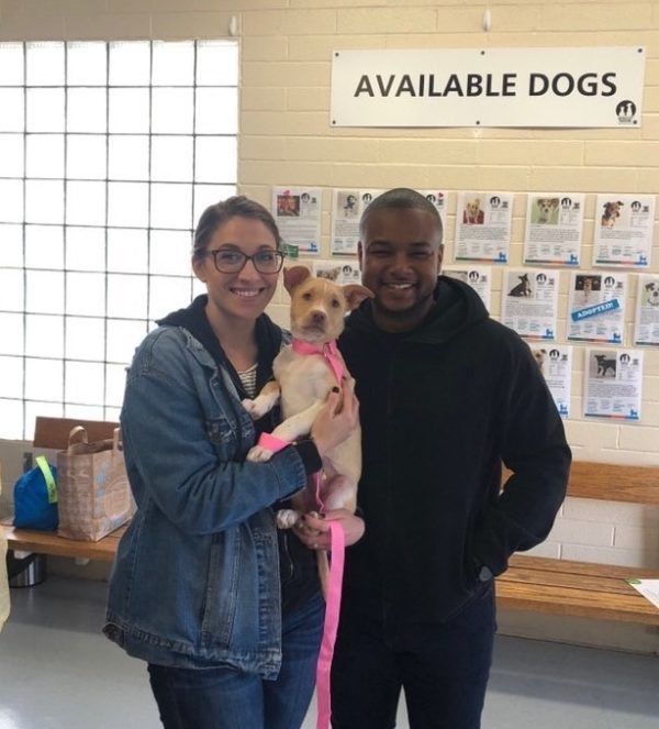 Adopt : Berkeley Humane