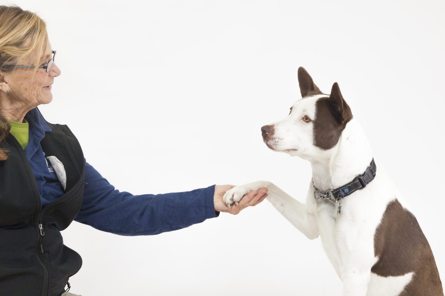 Training and Behavior Tips : Berkeley Humane