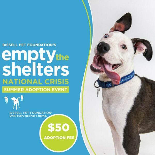 Adopt : Berkeley Humane