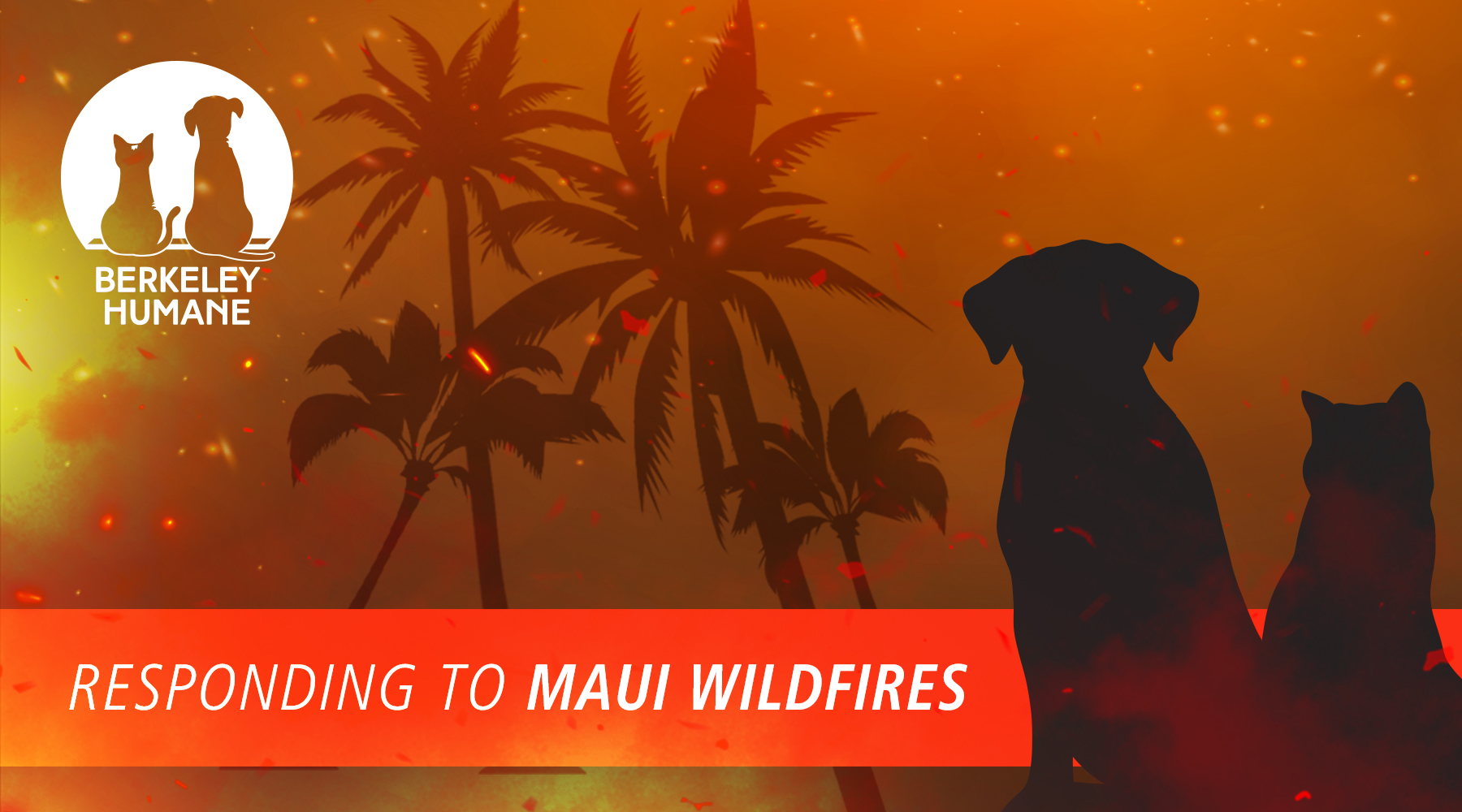 Home : Berkeley Humane