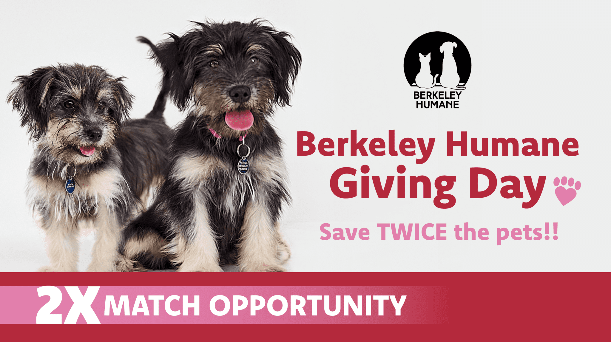 Home : Berkeley Humane