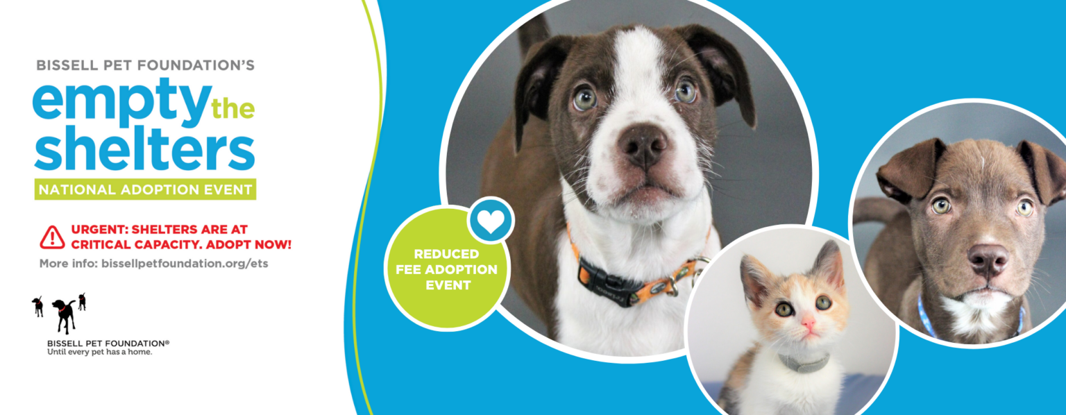 Home : Berkeley Humane