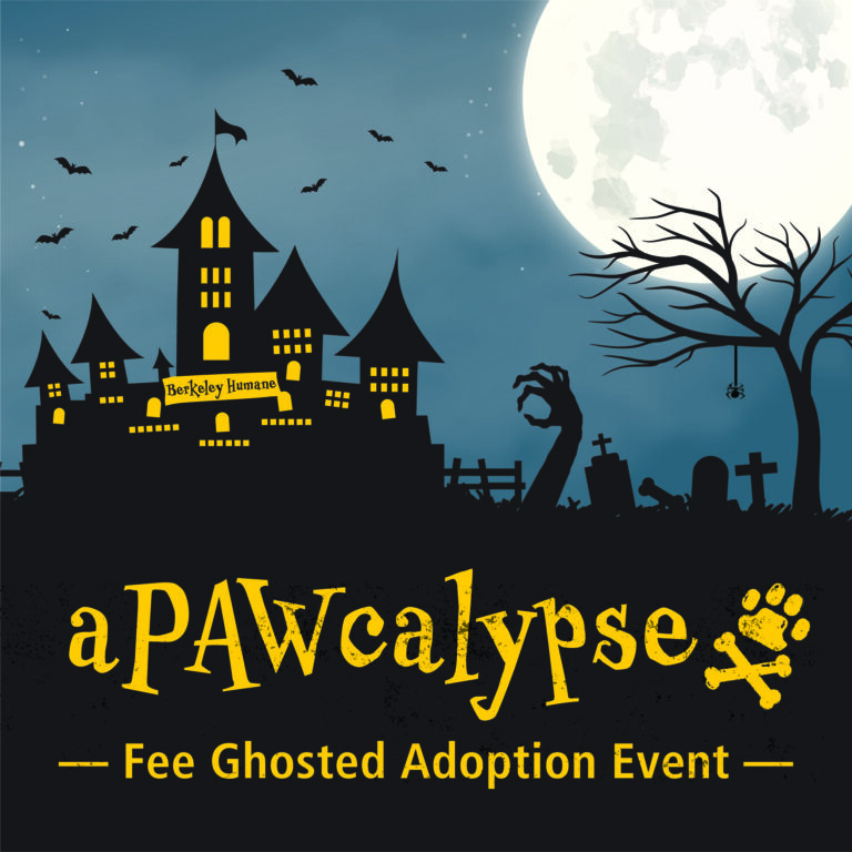 Adopt : Berkeley Humane